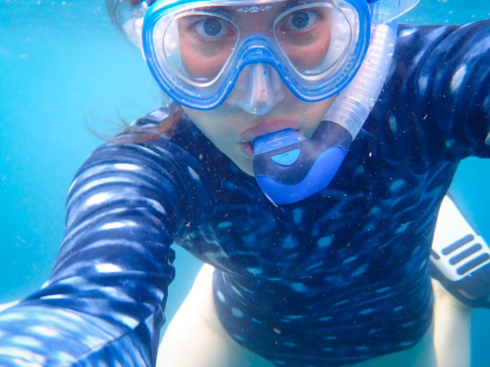 Biorock Pemuteran: Snorkeling & Diving Indonesia’s Biggest Coral ...