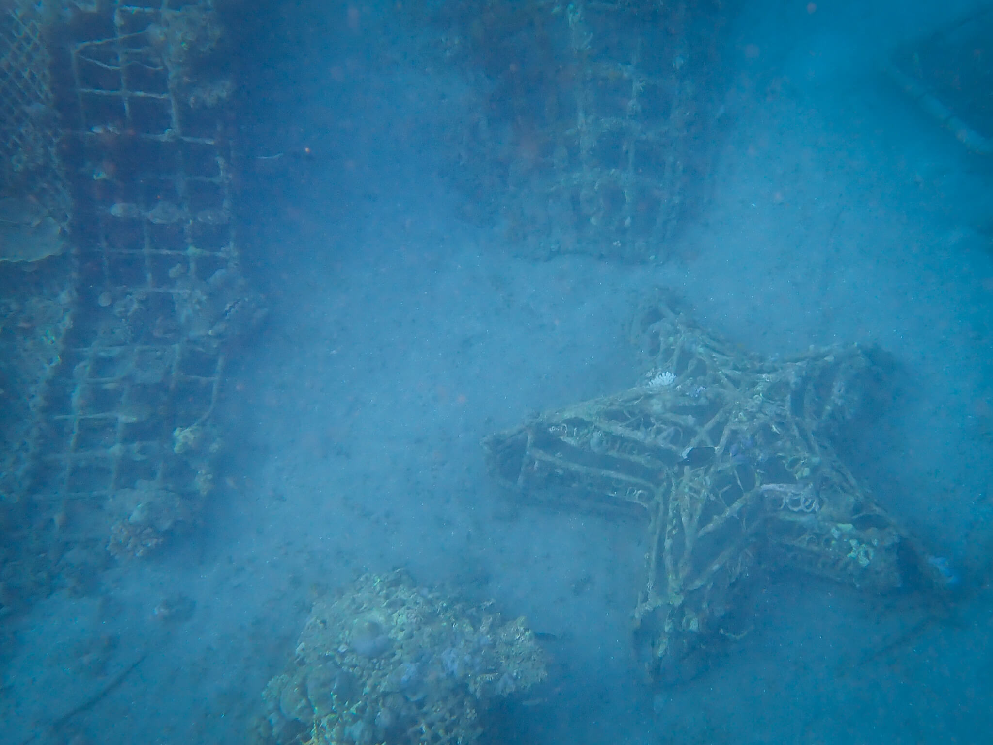 Biorock Pemuteran: Snorkeling & Diving Indonesia’s Biggest Coral ...